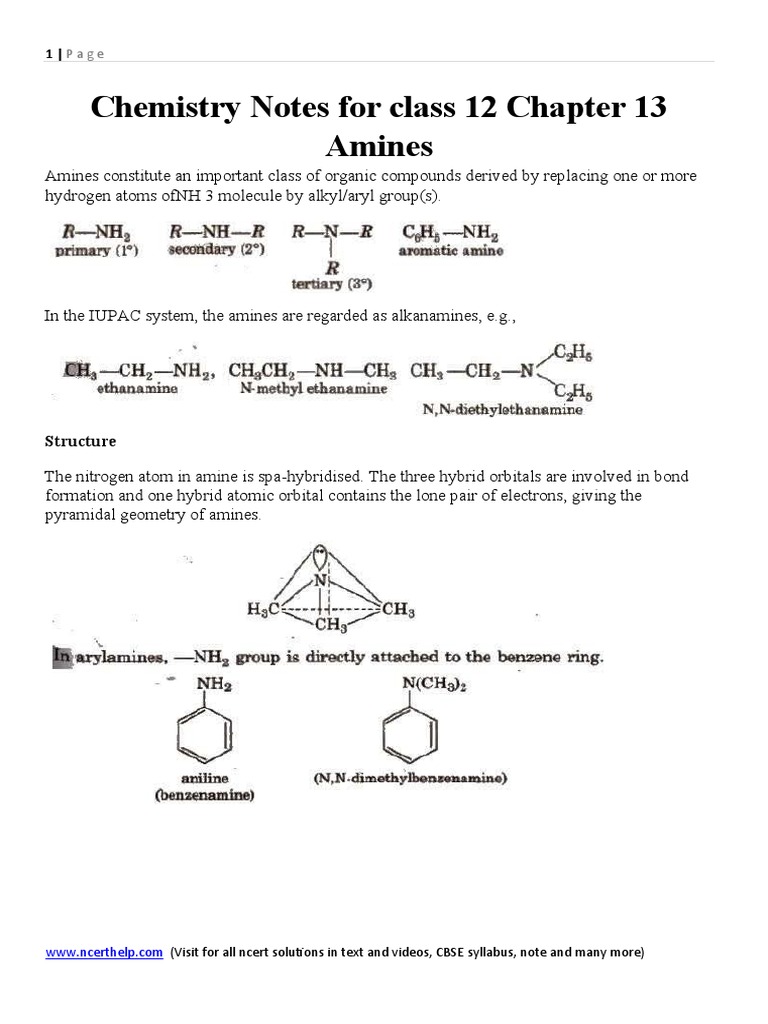 Chemistry Notes For Class 12 Chapter 13 Amines: Structure | PDF | Amine ...