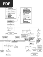 LP Post Partum Normal | PDF