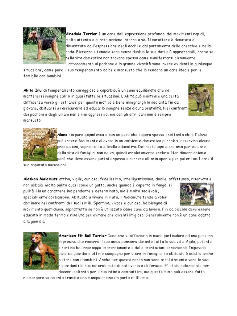 Schede Vari Cani | PDF