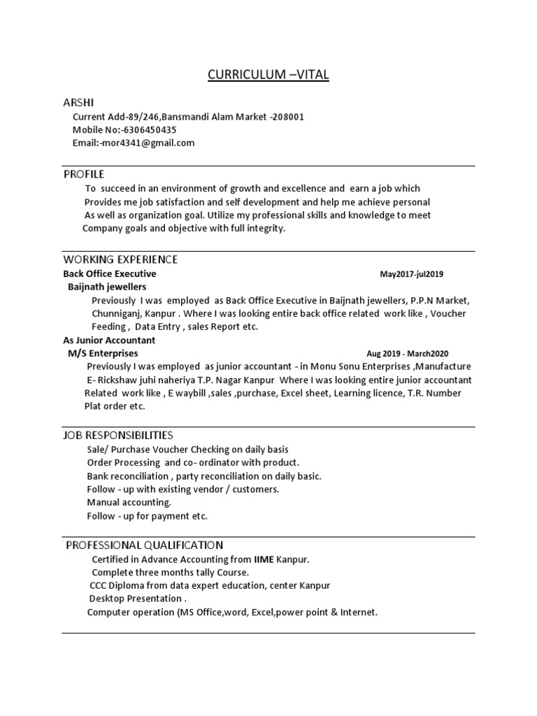 New Arsh Cv-Converted-1 | PDF | Computing | Business