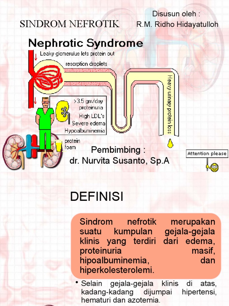 Sindrom Nefrotik | PDF