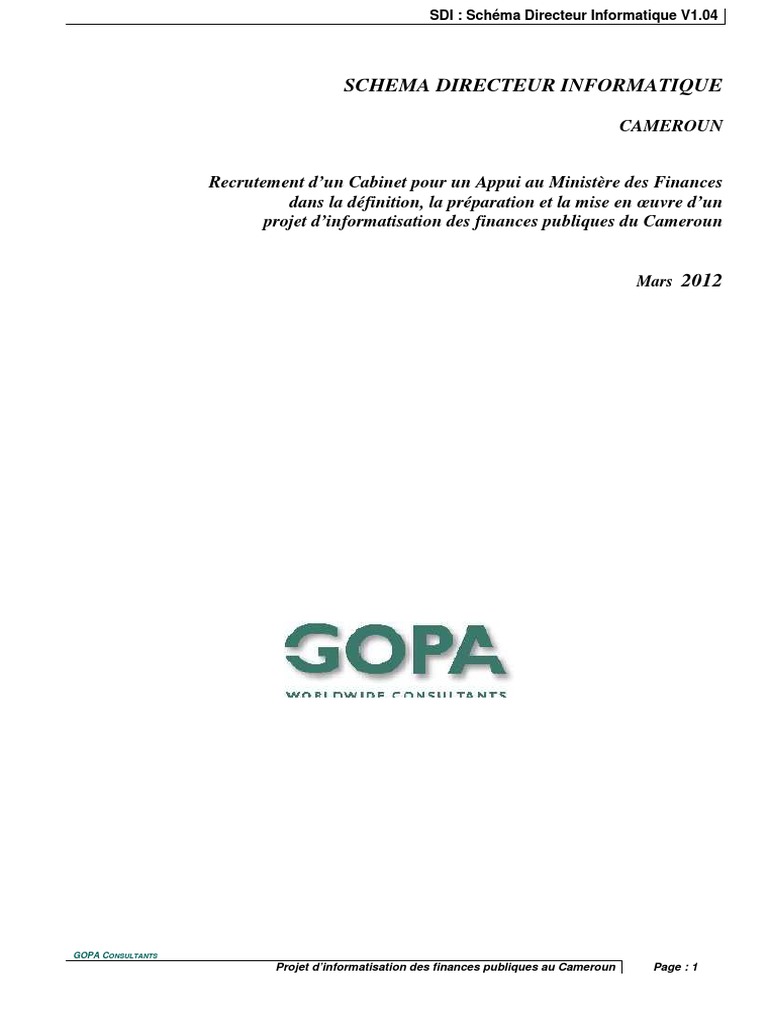 Cameroun: Schema Directeur Informatique | PDF | Application | Informatique