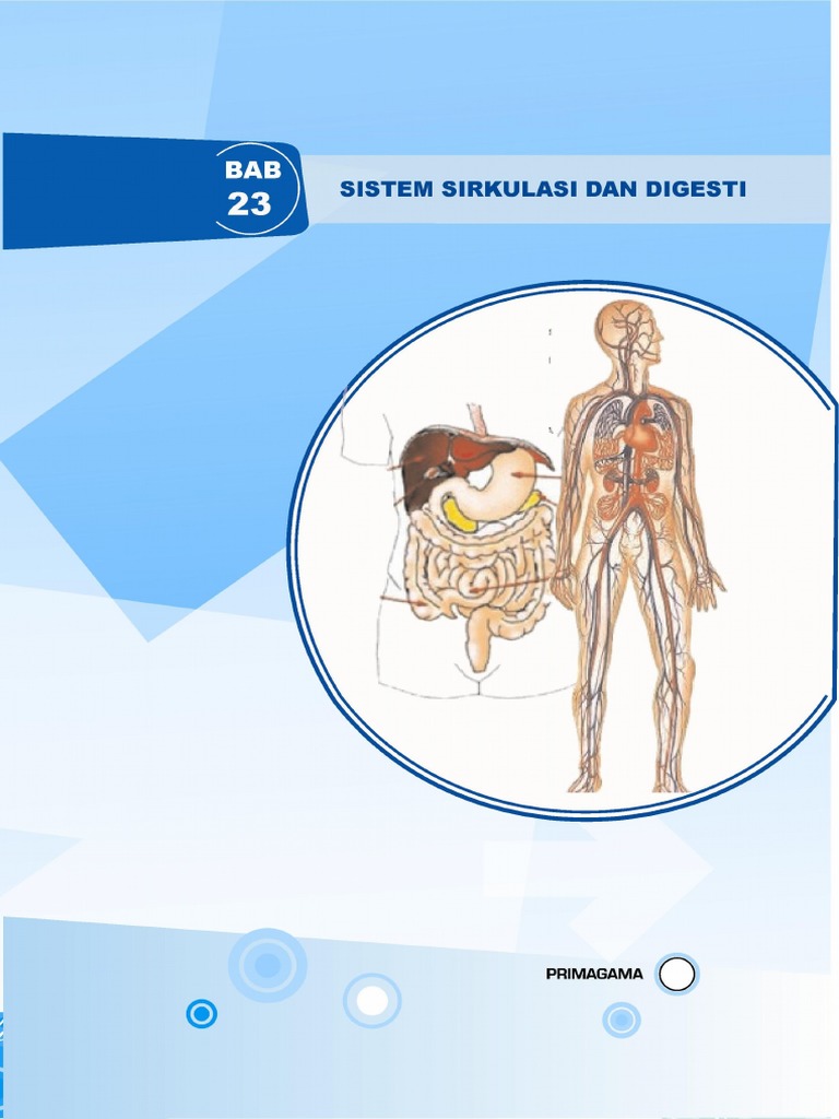 23 - Sist Sirkulasi-Digesti | PDF