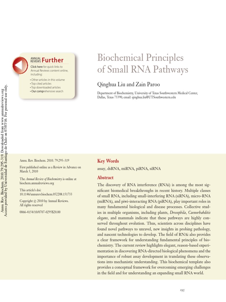 2010-Biochemical Principles of Small RNA Pathways | PDF | Rna ...