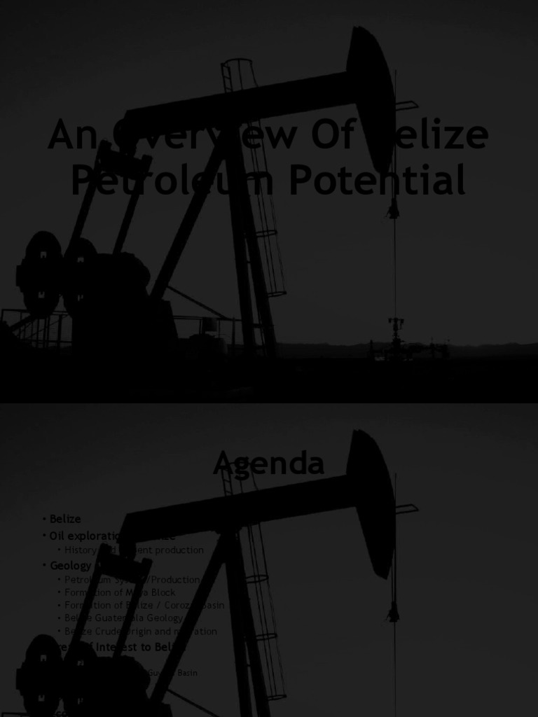 Petroleum Potential of Belize | PDF | Petroleum Reservoir | Belize