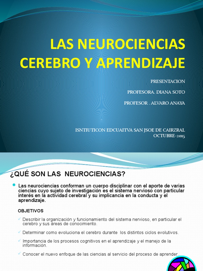 Cerebro Y Aprendizaje Pdf Cerebro Memoria