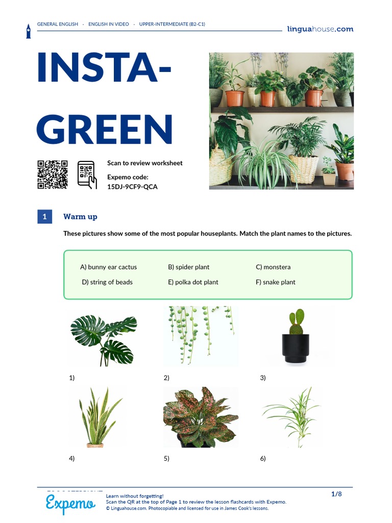 Insta Green British English Student | PDF