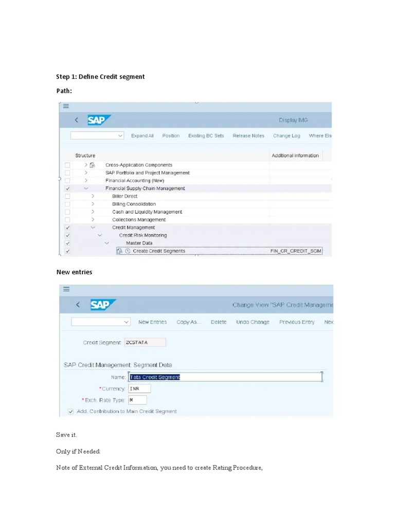 Step 1: Define Credit Segment Path | Download Free PDF | Computer ...