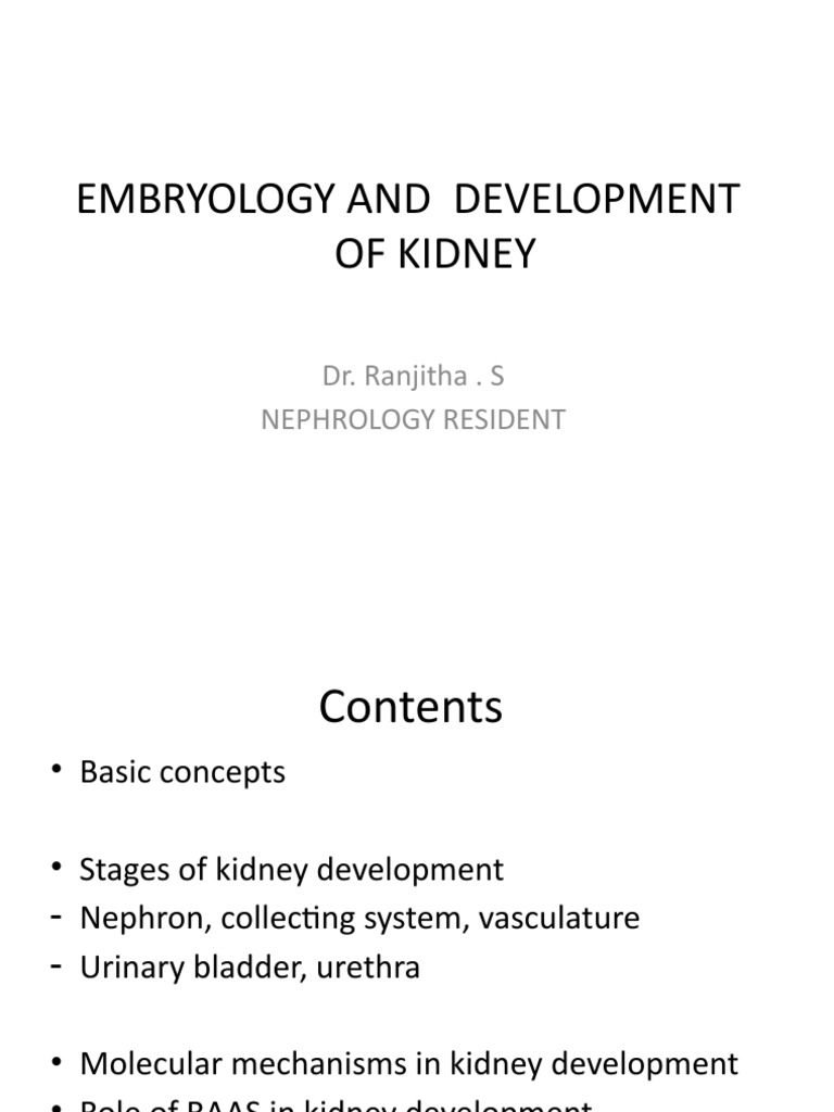 Embryology and Development of Kidney | PDF | Kidney | Anatomy