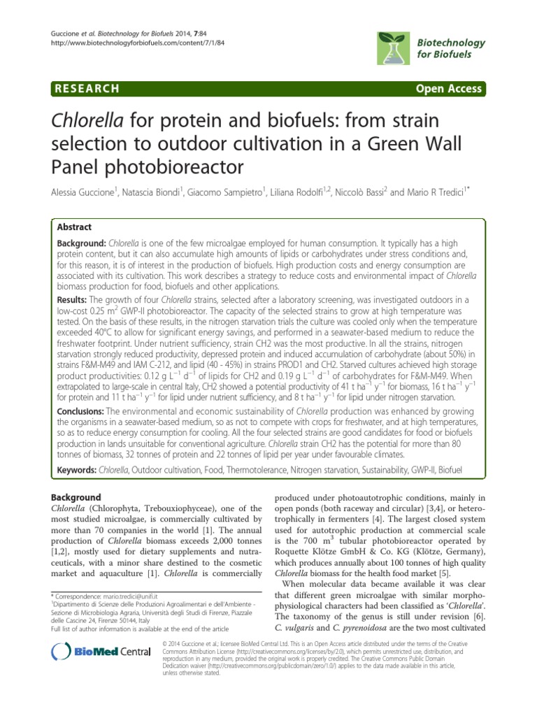 Chlorella For Protein and Biofuels: From Strain Selection To Outdoor ...