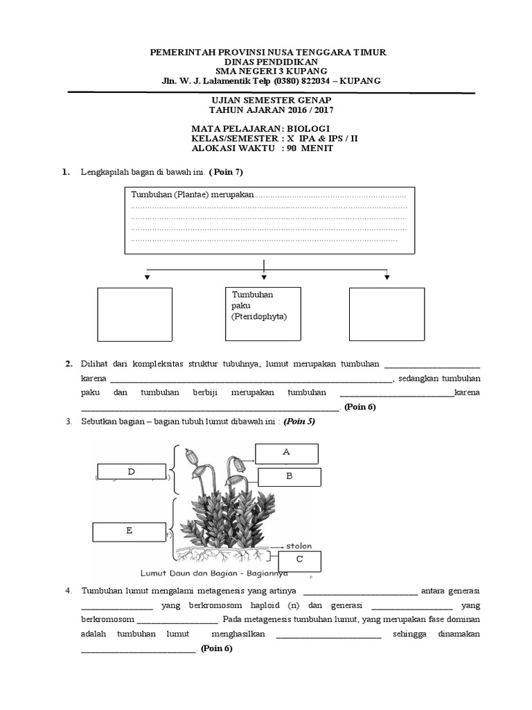 Lengkapilah Bagan Di Bawah Ini | PDF