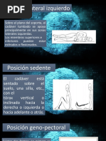 Guia Posiciones Del Cadaver | PDF | Términos anatómicos de ubicación | Science