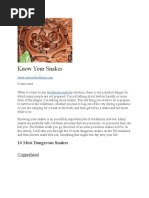 Snake Awareness Toolbox Talk | PDF | Snake