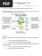 Grade 3 Plant Parts B 1 | PDF