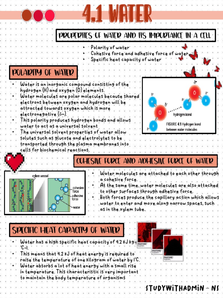 Bio CH4 F4 Studywithadmin | PDF | Proteins | Peptide