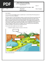 Animals Year 4 | PDF