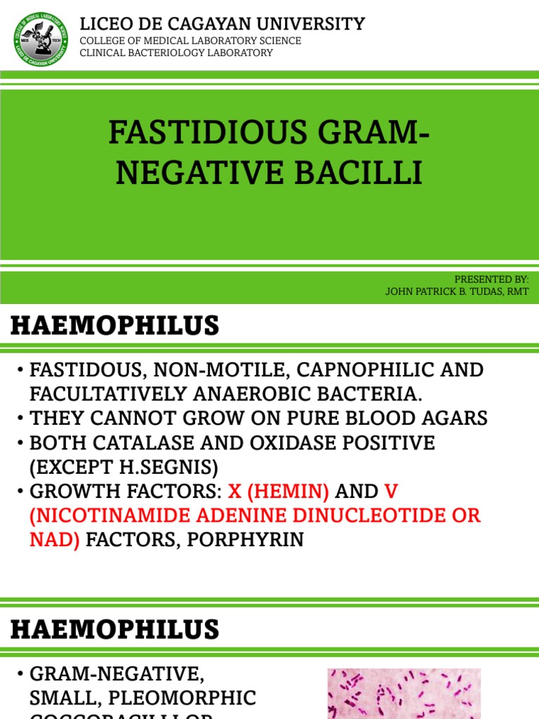 Fastidious Gram-Negative Bacilli Overview | PDF | Gram Negative ...
