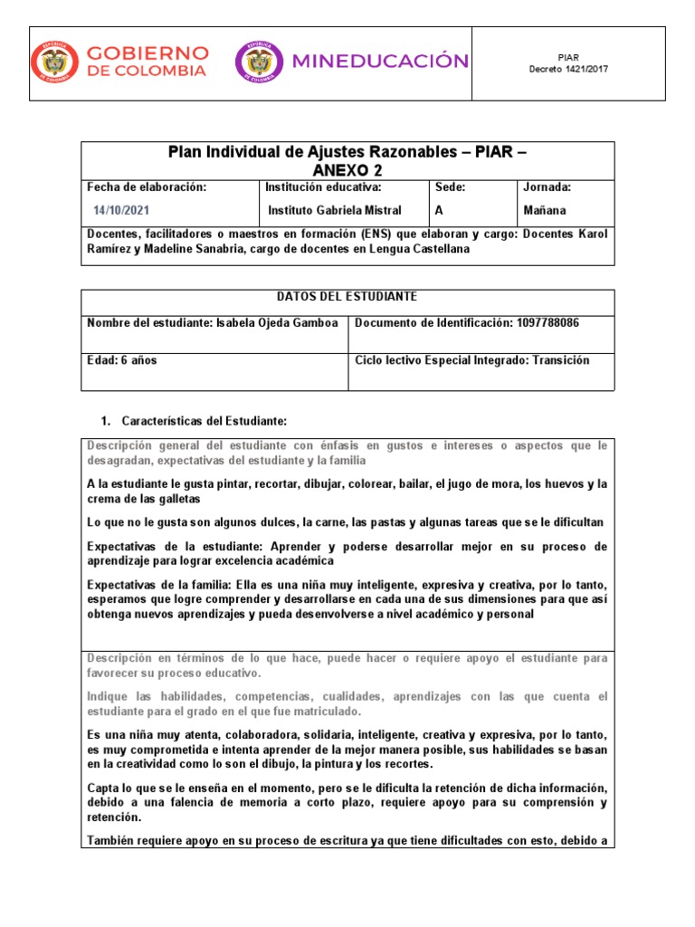 Formato Piar 2019 Anexo 2 | PDF | Educación de la primera infancia ...