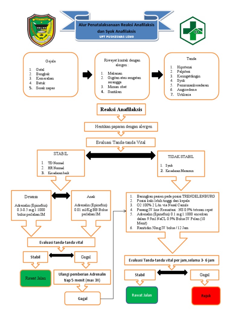 Alur Penatalaksanaan Reaksi Anafilaksis Dan Syok Anafilaksis | PDF
