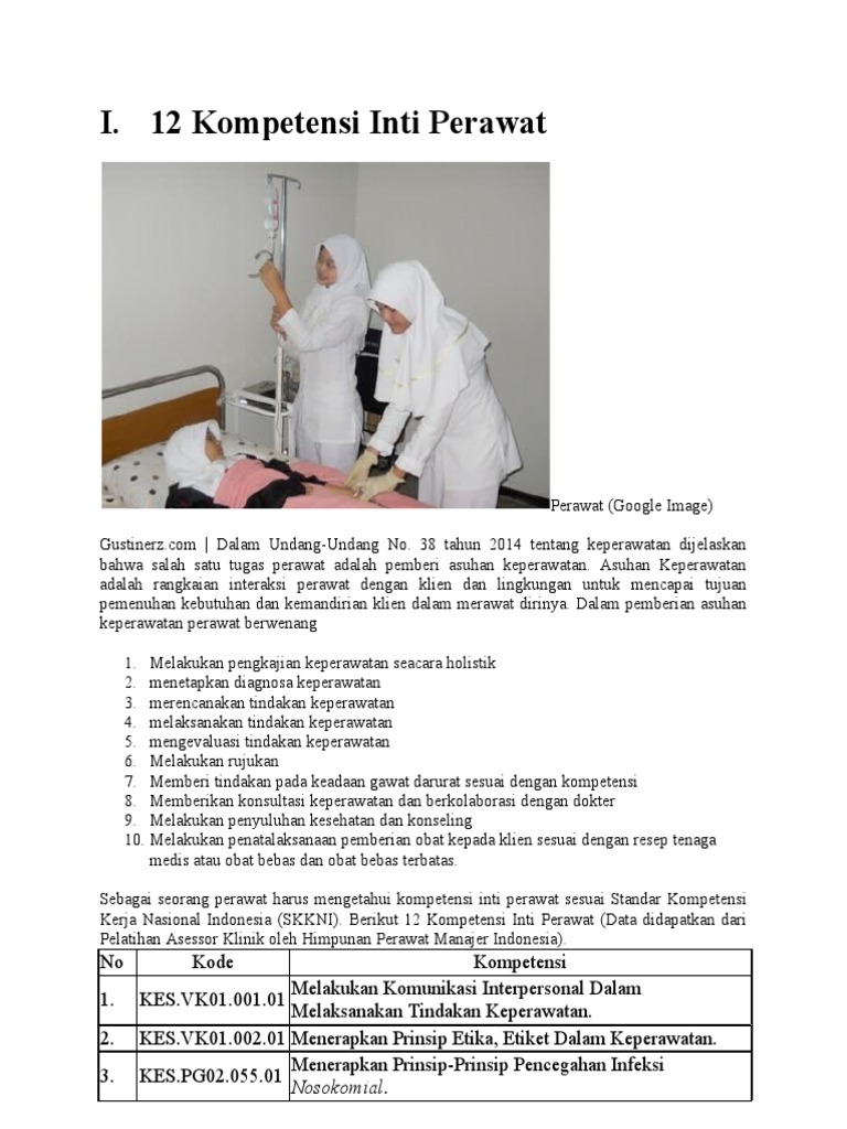12 Kompetensi Inti Perawat | PDF