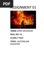 Wildfire Reading Practice 21k79fg | PDF | Wildfire | Wound