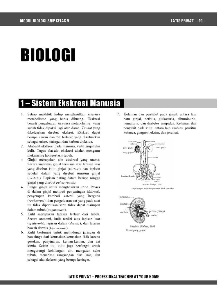 Modul Biologi SMP | PDF