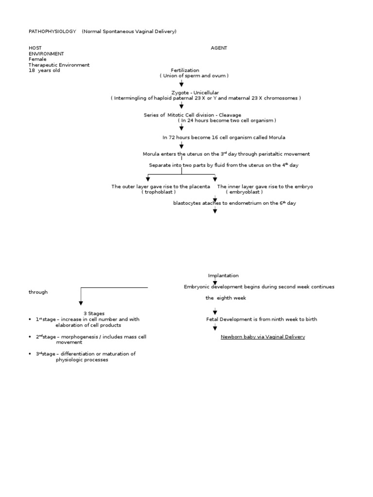 The Physiological Process of a Normal Spontaneous Vaginal Delivery and ...