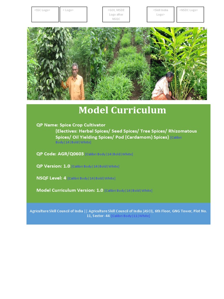 Model Curriculum Template | PDF | Learning | Cognition