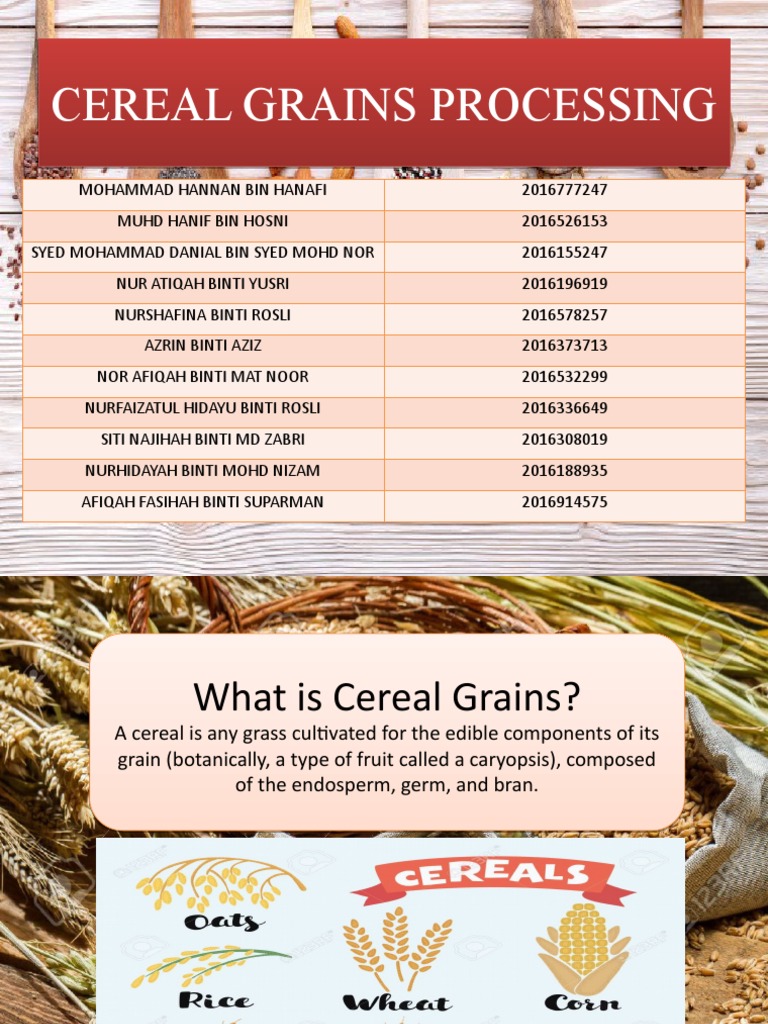 Cereal Grains Processing | PDF