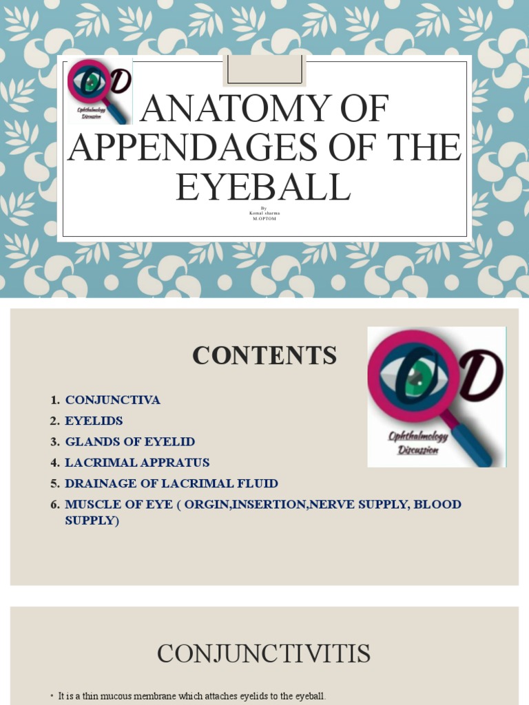 Anatomy of Eye Appendiges | PDF | Face | Ophthalmology