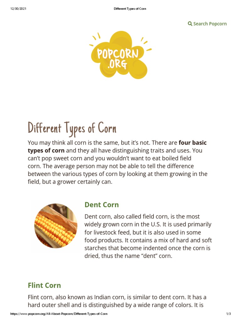 Different Types of Corn | PDF | Maize | Popcorn