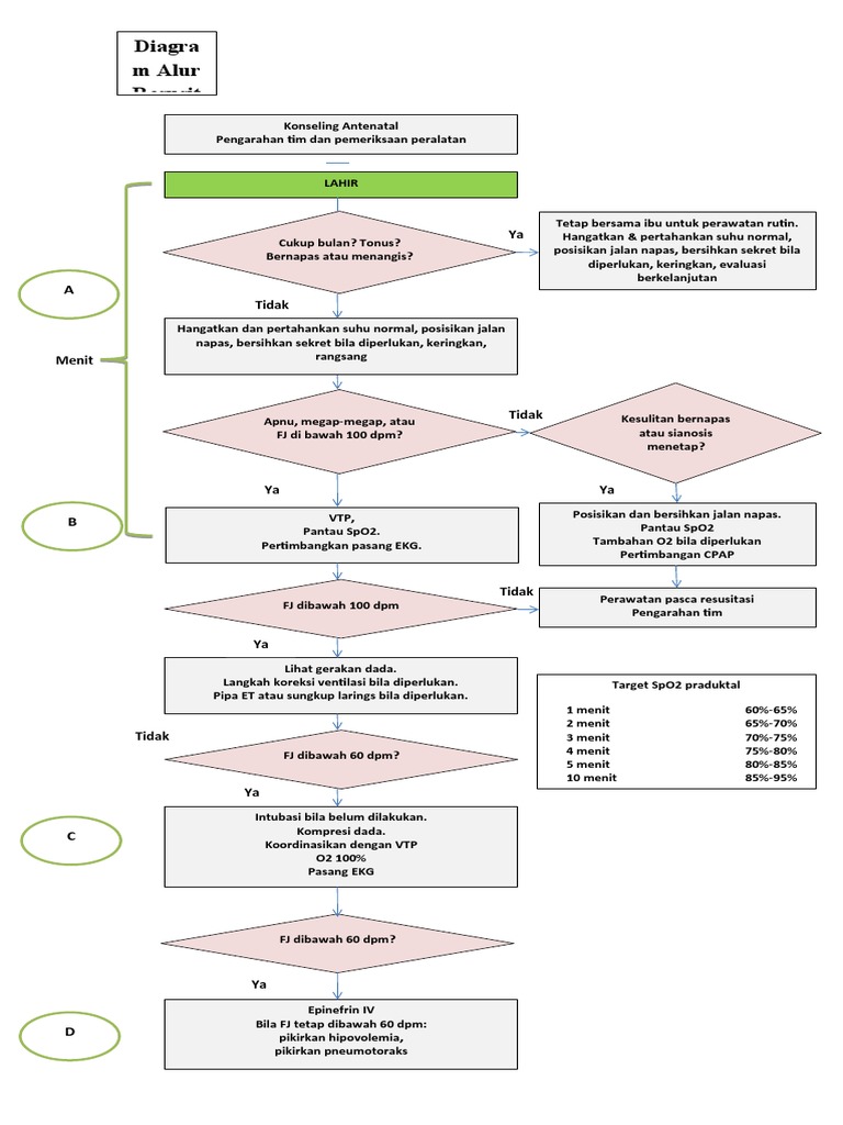 Bagan Resusitasi | PDF