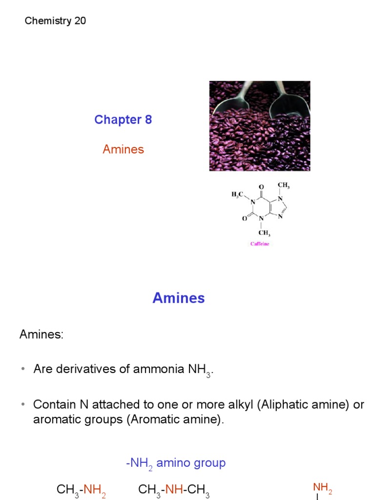 Amines: Chemistry 20 | PDF | Amine | Ammonium