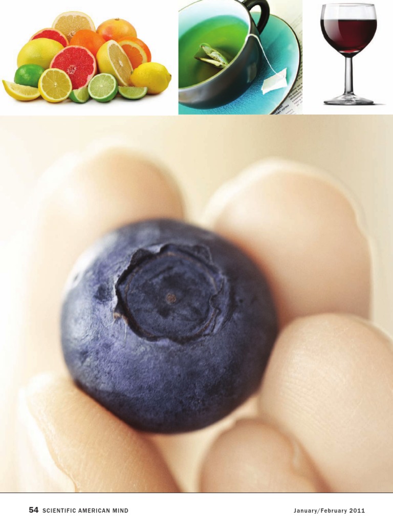Your Brain On Blueberries | PDF | Flavonoid | Memory