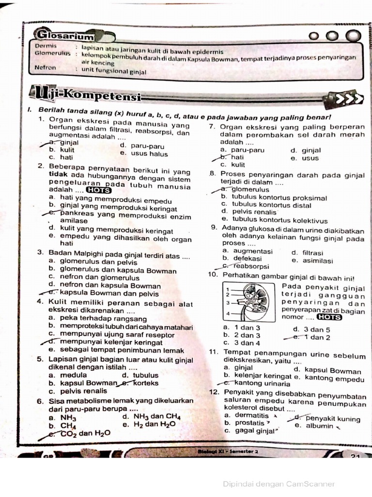 Devan Muhammad Nugraha Tugas Biologi Sis | PDF
