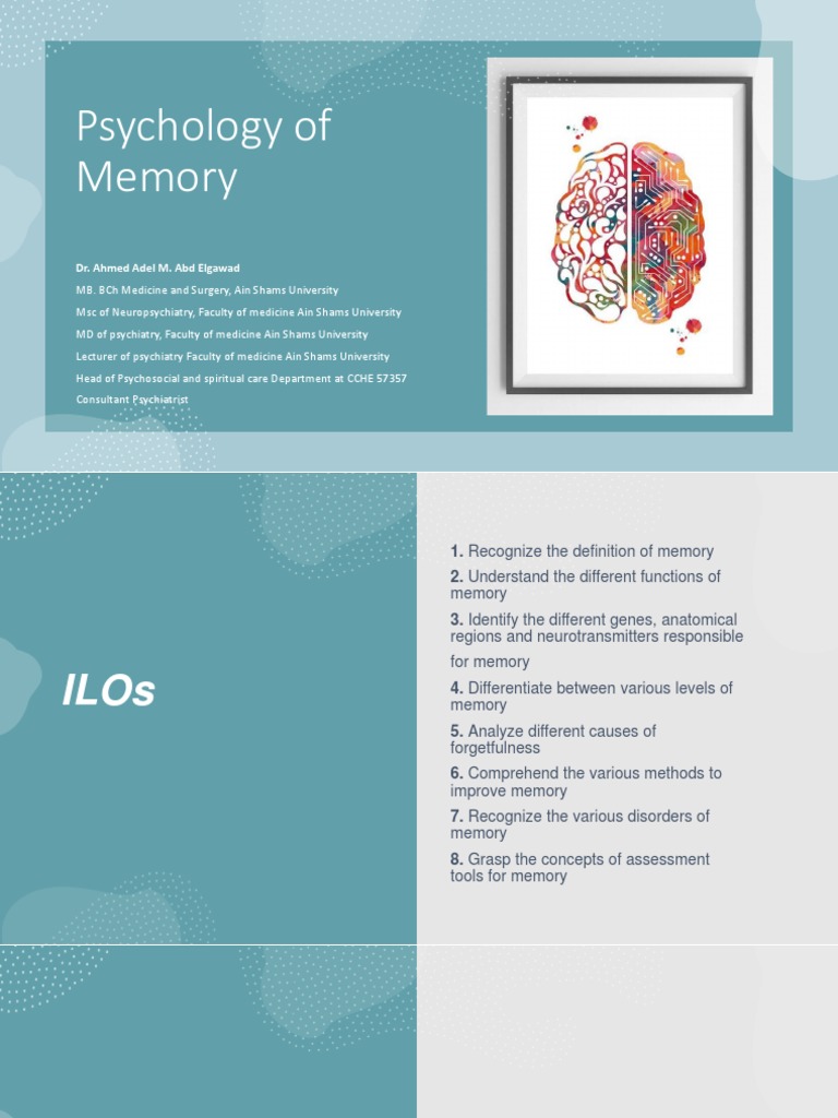 Psychology of Memory | PDF | Memory | Long Term Memory