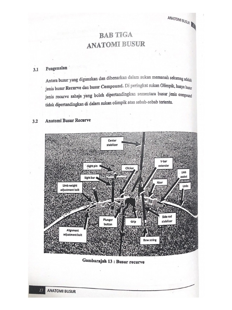 Chap 3 Anatomi Busur | PDF