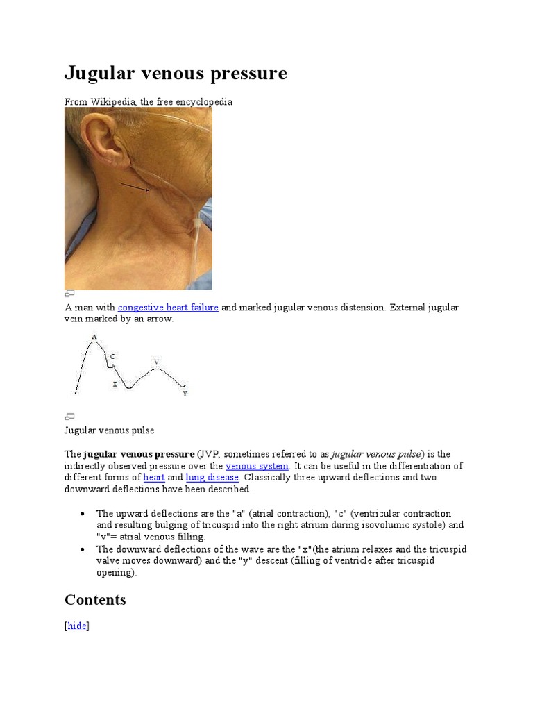 Jugular Venous Pressure | PDF | Atrium (Heart) | Thorax (Human Anatomy)