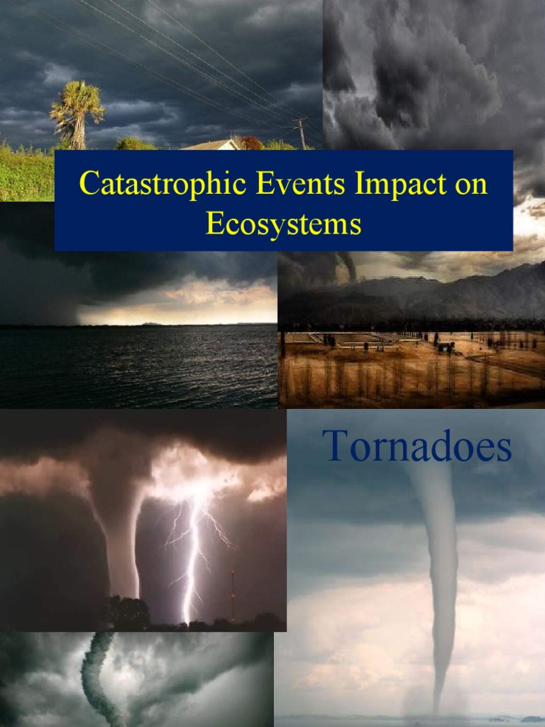 Catastrophic Events Impact On The Ecosystem (NXPowerLite) | PDF | Flood ...