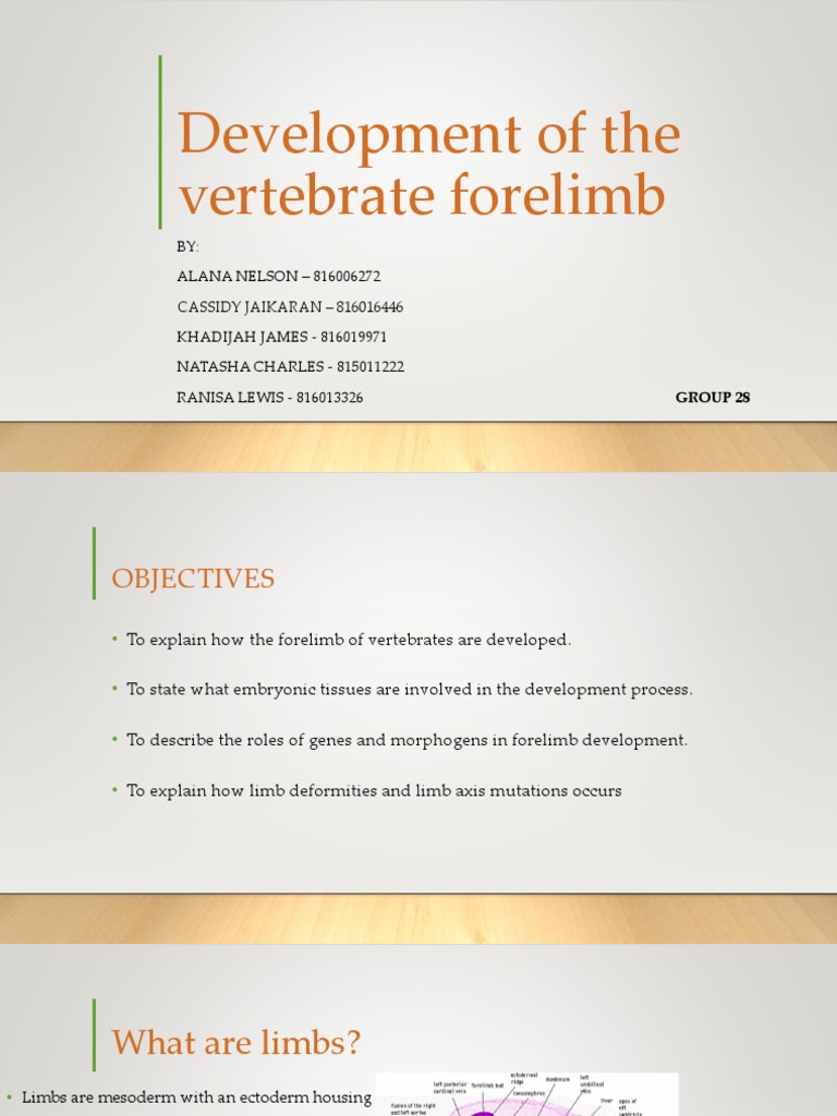 Vertebrate Forelimb Development Insights | PDF | Anatomy | Cell Biology