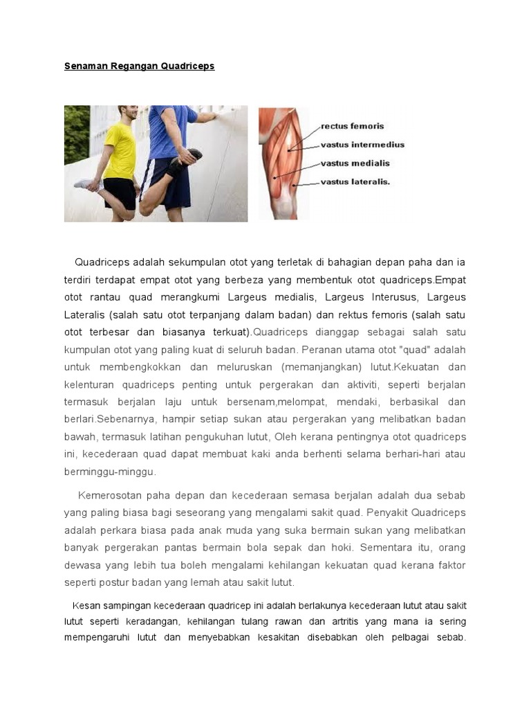 Senaman Regangan untuk Otot Quadriceps | PDF