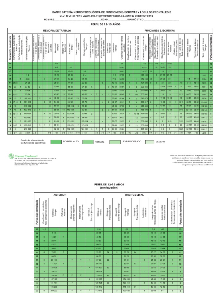 Perfil BANFE - 12 - 13 Años | PDF | Neuropsicología | Neurociencia ...