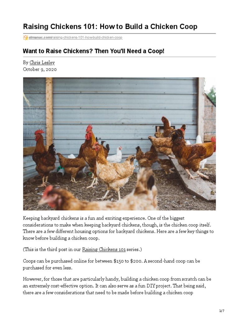 Raising Chickens 101 How To Build A Chicken Coop | PDF | Chicken | Birds