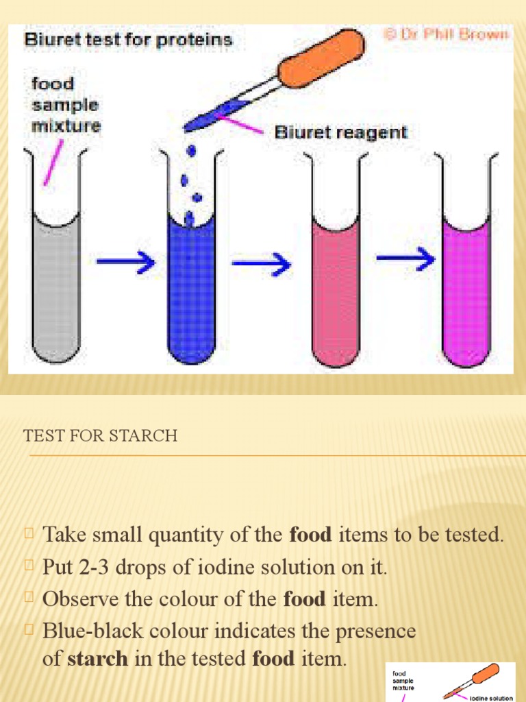 Food Tests | PDF