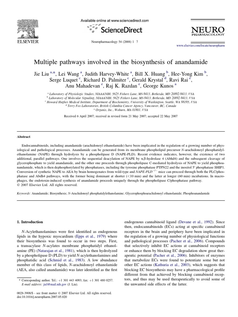 Anandamide Biosynthesis Pathways Explained | PDF | Biochemistry ...