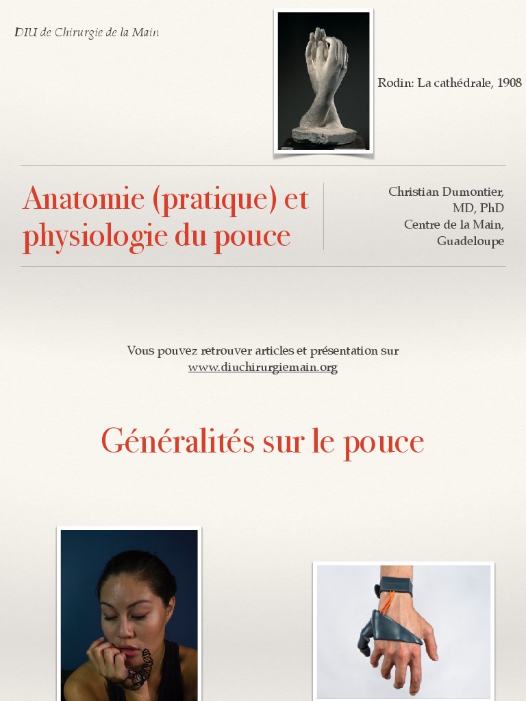 1-1 Anatomie Et Physiologie Du Pouce Short | PDF | Main | Appareil ...