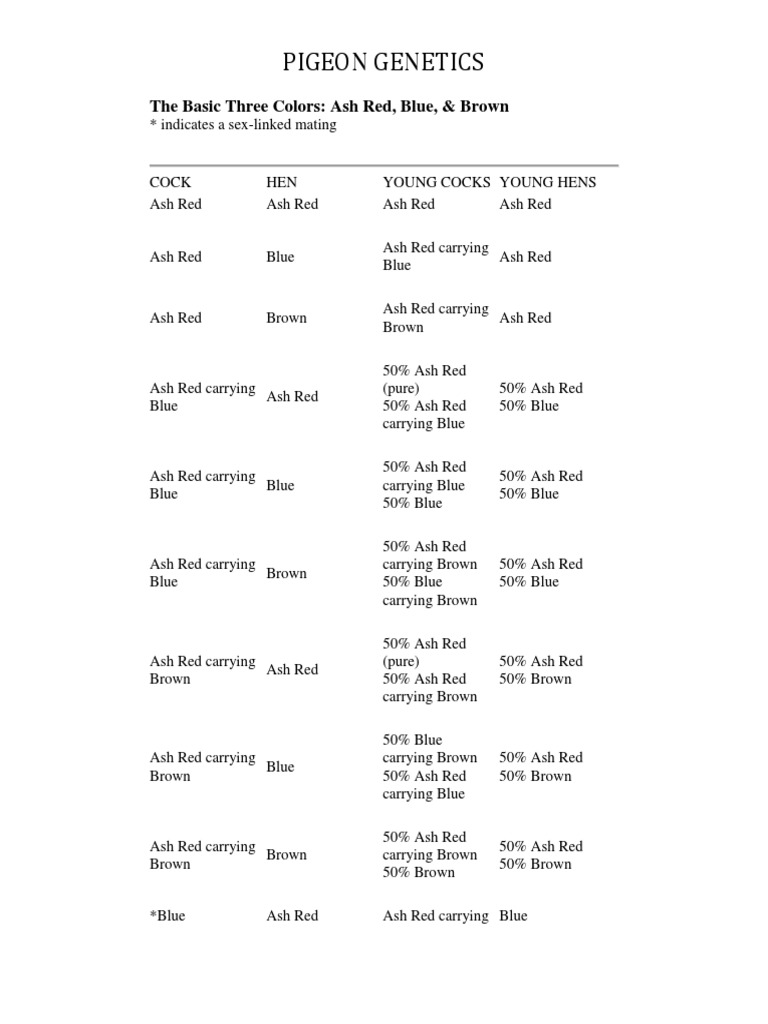 Pigeon Genetics Color | PDF | Dominance (Genetics) | Chicken