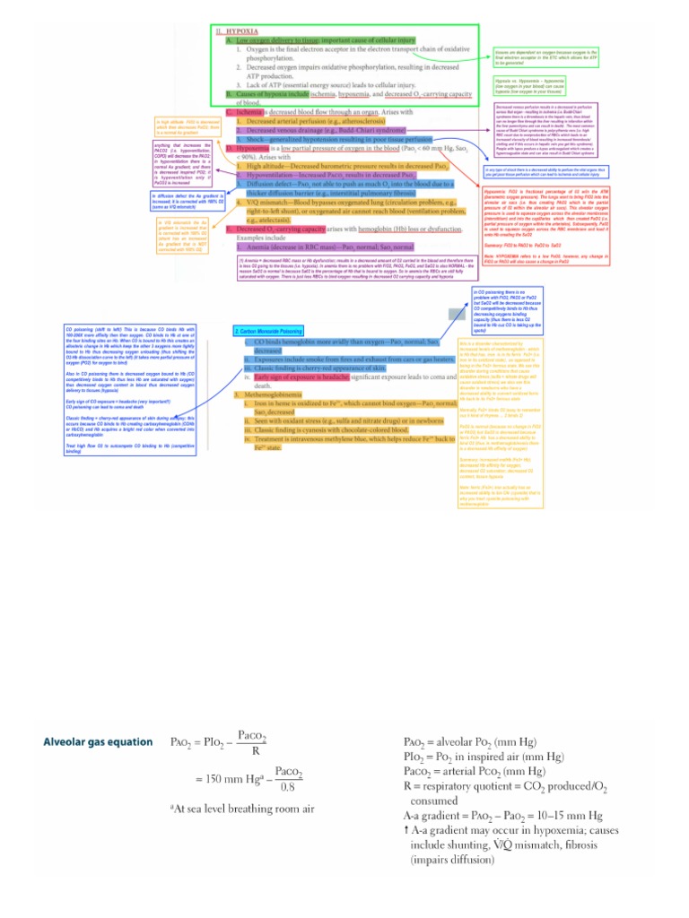 A-A Gradient (FiO2) (Pa02) (PA02) (Alveolar Gas Equation) | PDF