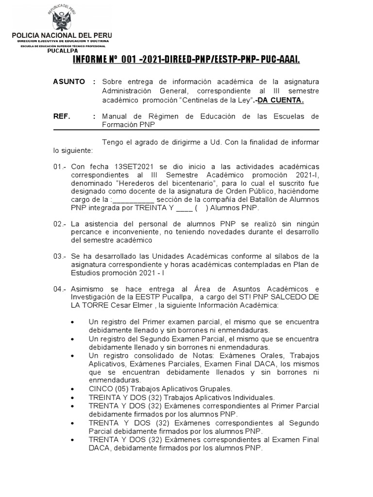 Modelo de Informe | PDF