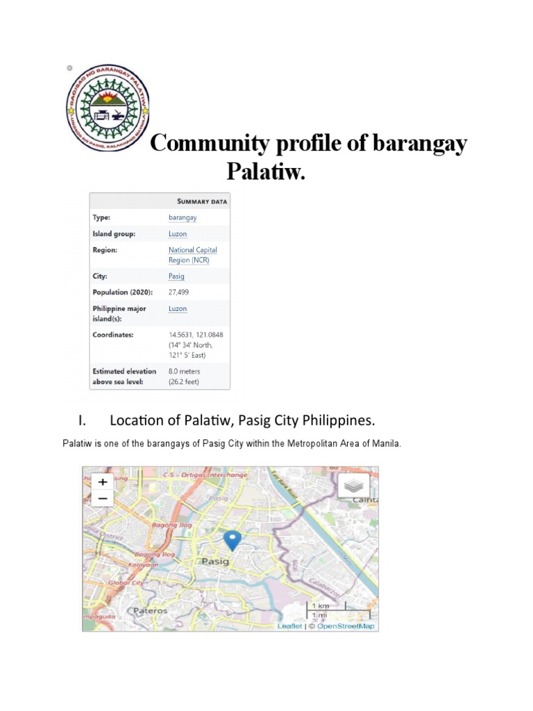 Community Profile of Barangay Palatiw | PDF